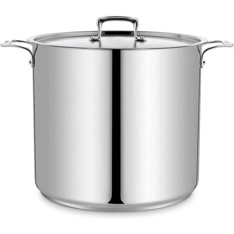 Stockpot Brushed Stainless Steel Induction Pot with Lid and Riveted ...