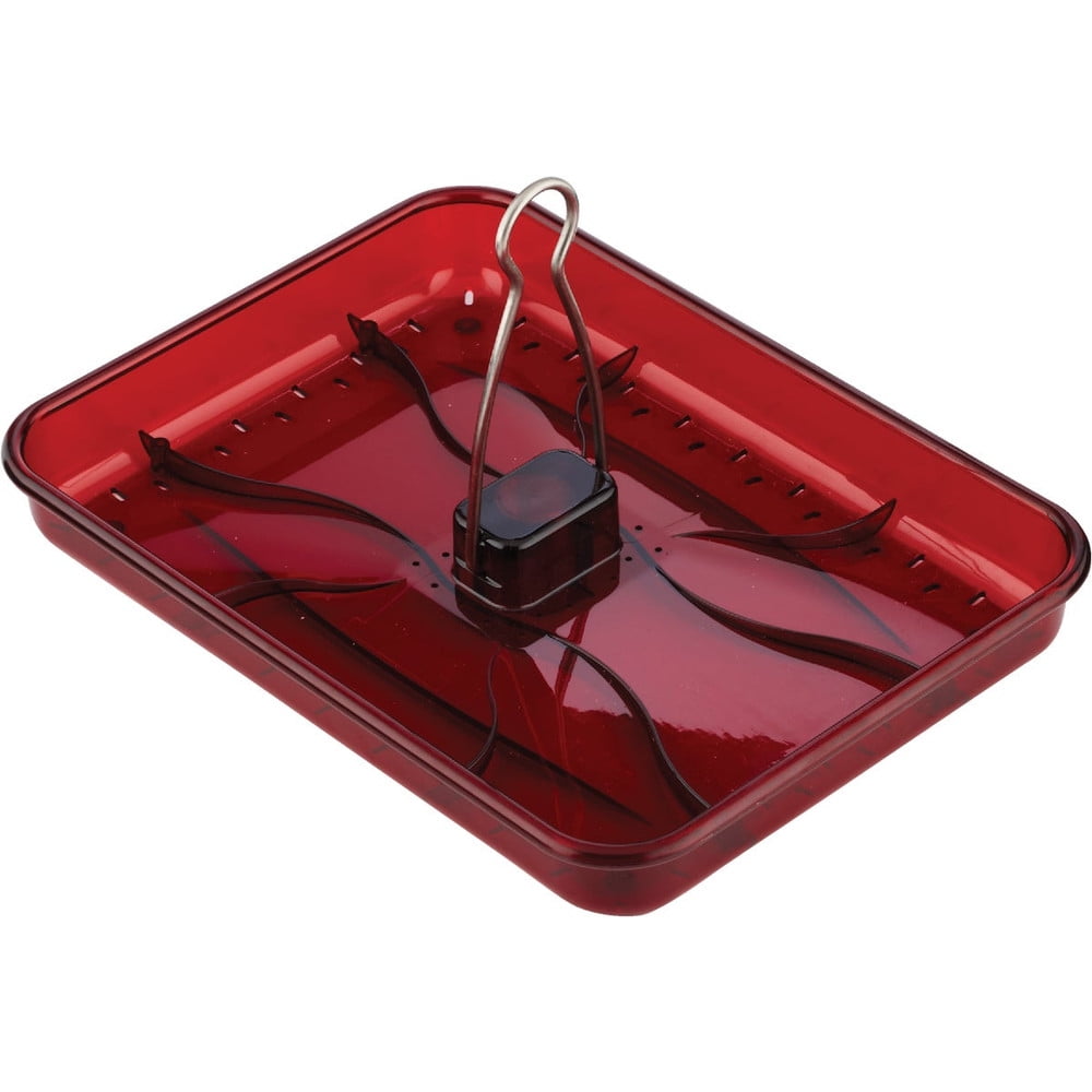 Stokes Select Red Plastic 2.5 Lb. Capacity Platform Bird Feeder 38160 ...