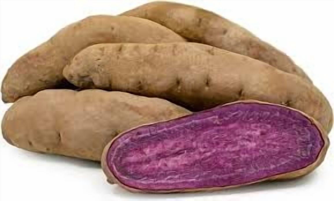 Stokes Sweet Potato Slips for Growing - Easy to Grow, Red Yams (10 ...