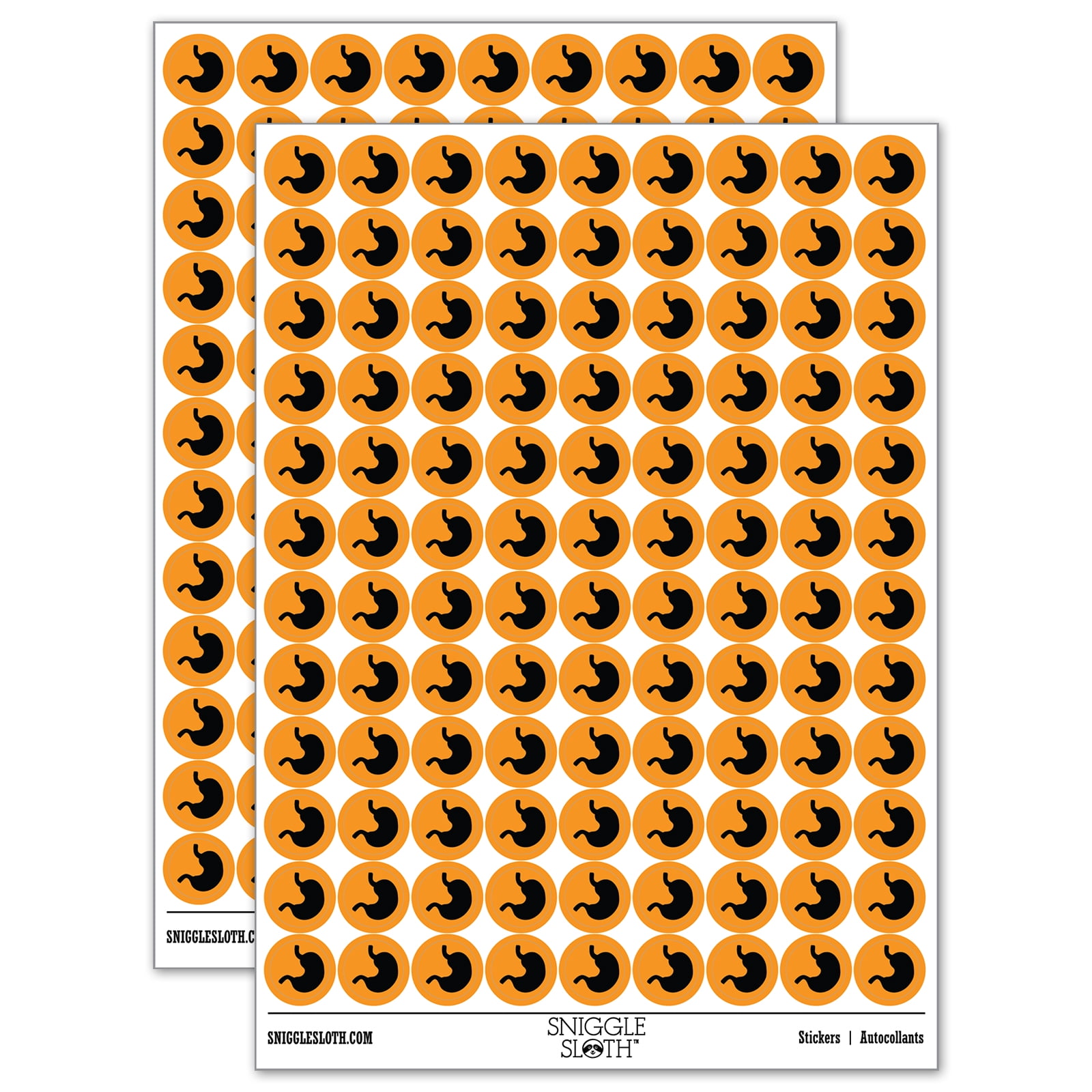 Stomach Anatomy Organ Body Part 200+ Round Stickers - Orange - Matte ...