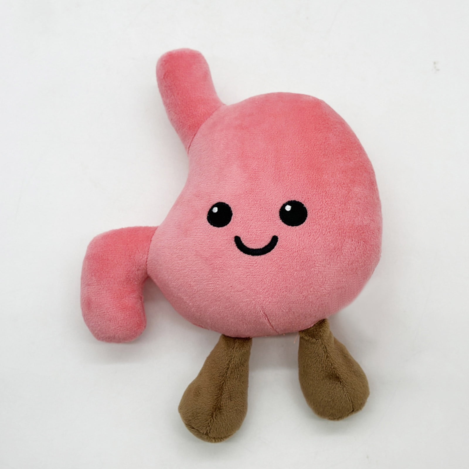 Stomach Plush Toy: Soft, Huggable Organ Model for Anatomy Students ...