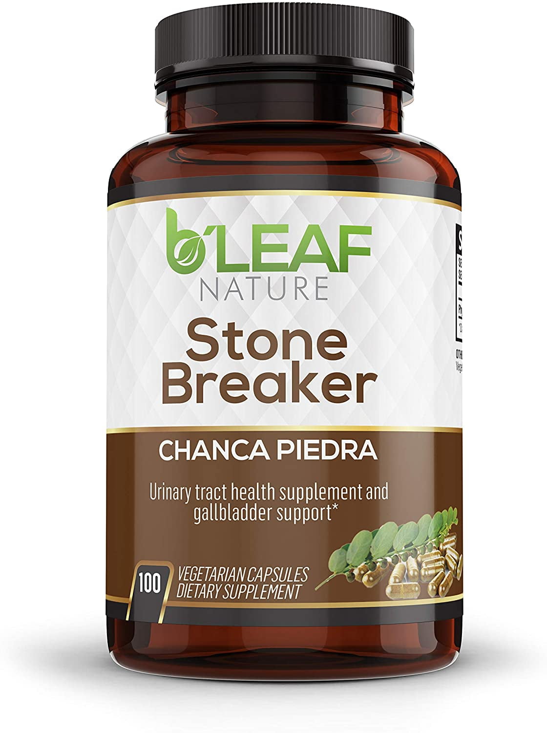 Stone Breaker Chanca Piedra Extract 1000mg - Urinary Tract and ...