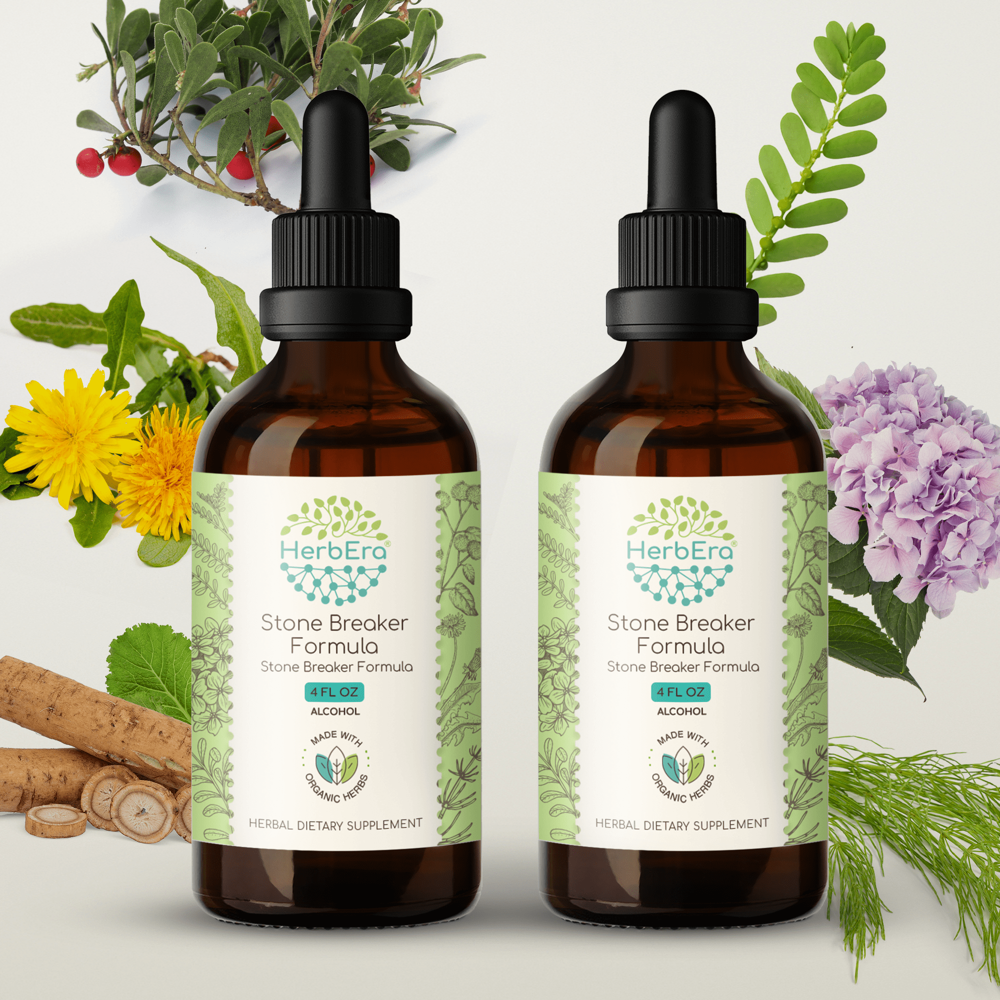 Stone Breaker Formula Alcohol Extract Tincture. Stone Breaker Formula ...