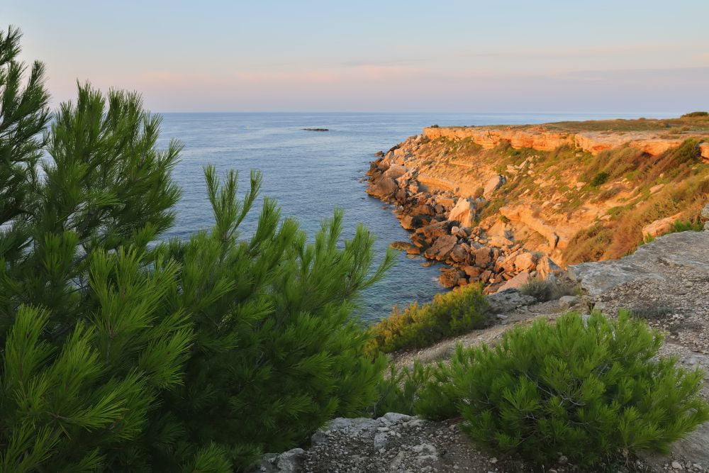 Stone Coast in Morning, Anse de Boumandariel, La Couronne, Martigues ...