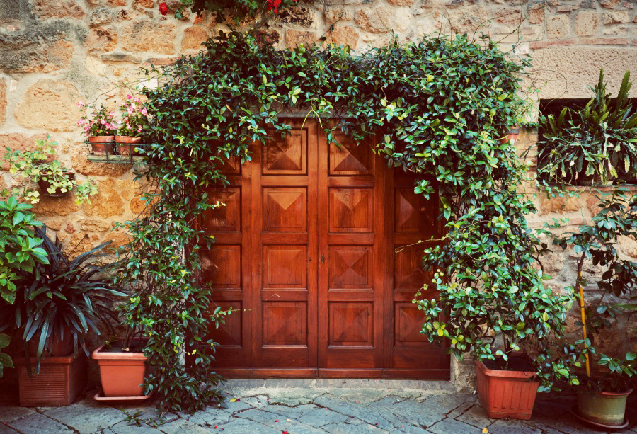Stone House Photo Backdrop Green Grass Flowers Photography Background ...