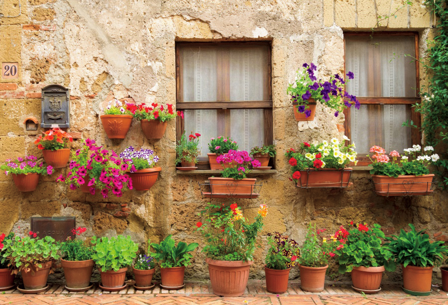 Stone House Photo Backdrop Green Grass Flowers Photography Background ...
