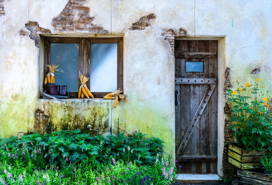 Stone House Photo Backdrop Green Grass Flowers Photography Background ...