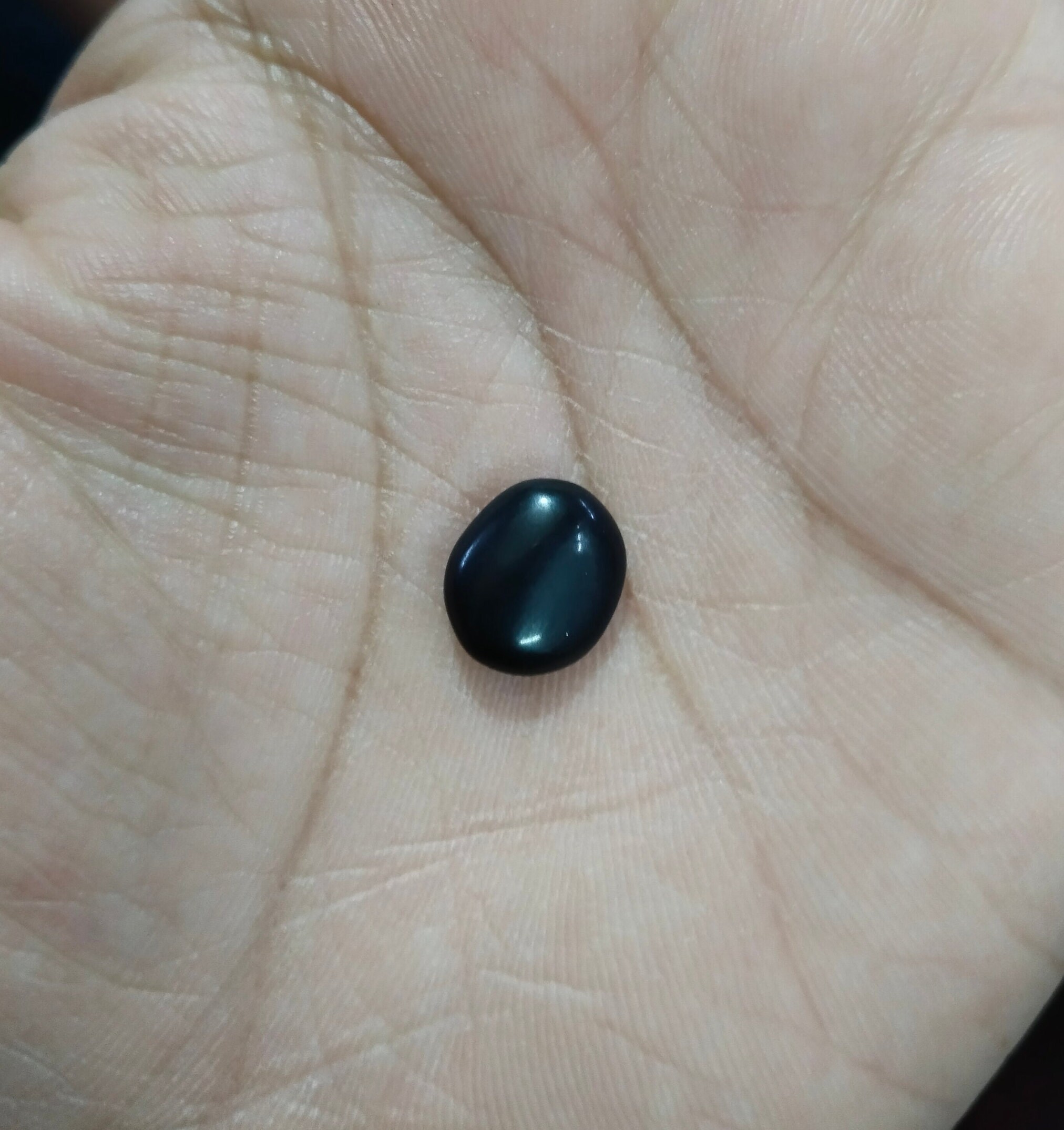Stone Naag mani Black Pearl Fortune Good Luck Blessings Positivity ...
