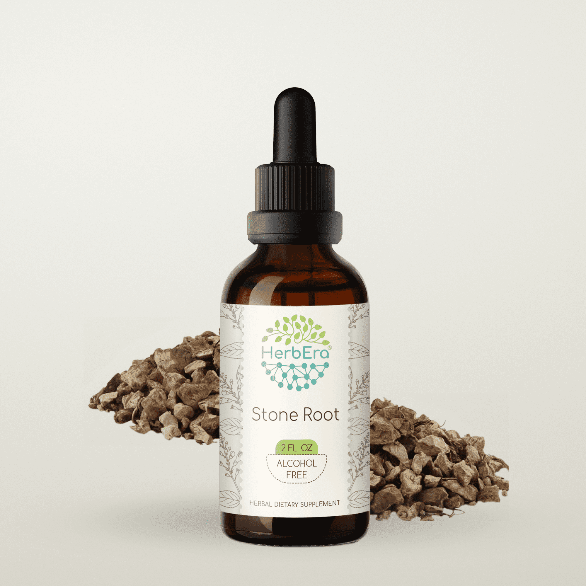 HerbEra Stone Root Tincture, Herbal Dietary Supplement for Digestive ...