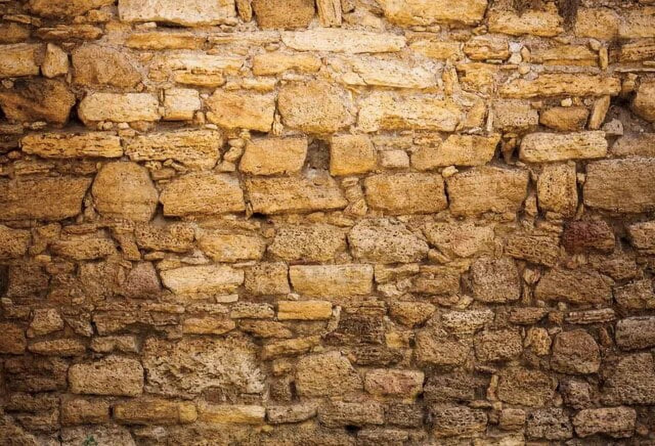 Stone Wall Vintage Grunge Portrait Photography Backgrounds Photographic ...