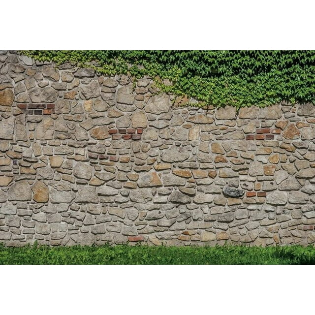 Stone Wall Vintage Grunge Portrait Photography Backgrounds Photographic ...