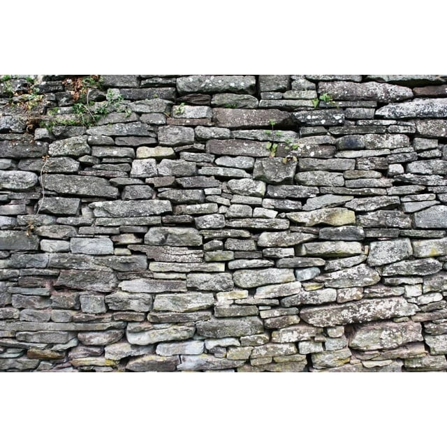 Stone Wall Vintage Grunge Portrait Photography Backgrounds Photographic ...