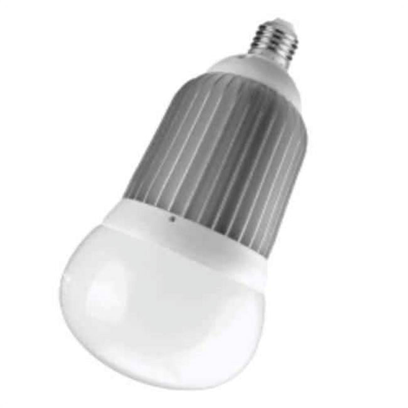 StonePoint LED Lighting BB50 4275 Lumen LED Big Bulb - Walmart.com