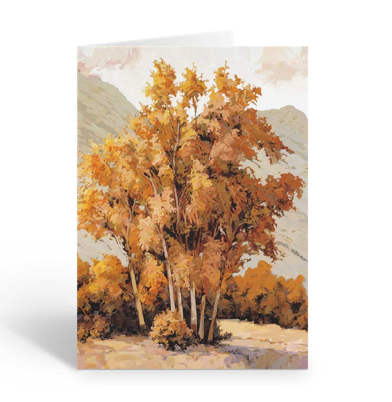 Stonehouse Collection Beautiful Fall Aspen Tree Note Cards - Thank You ...