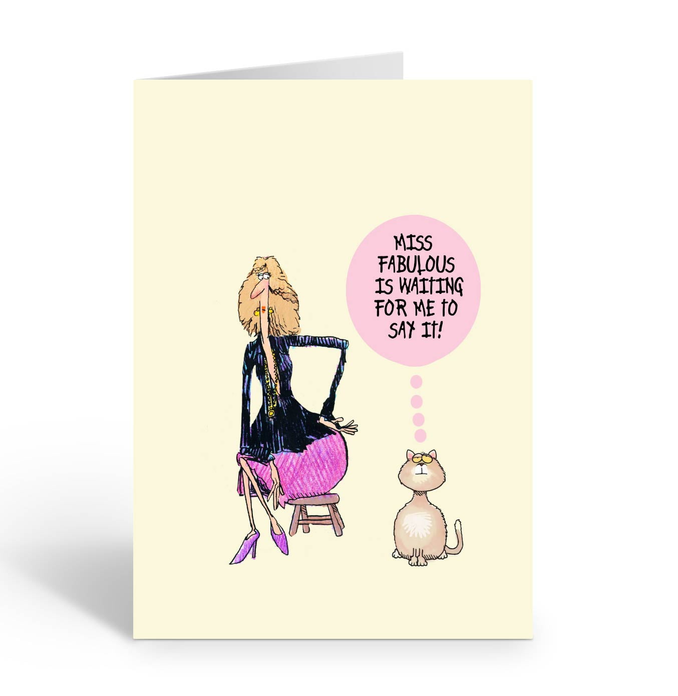 Stonehouse Collection | Funny Birthday Card for Women | Hilarious ...