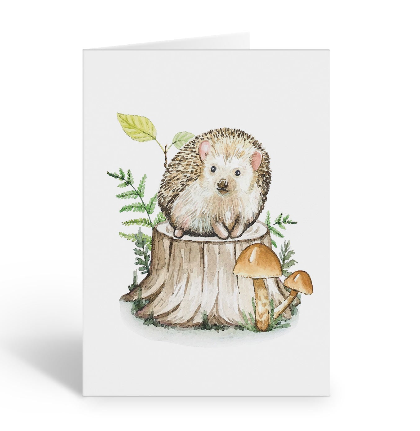 Stonehouse Collection | Hedgehog Note Card Set | Animal Thank You Cards ...