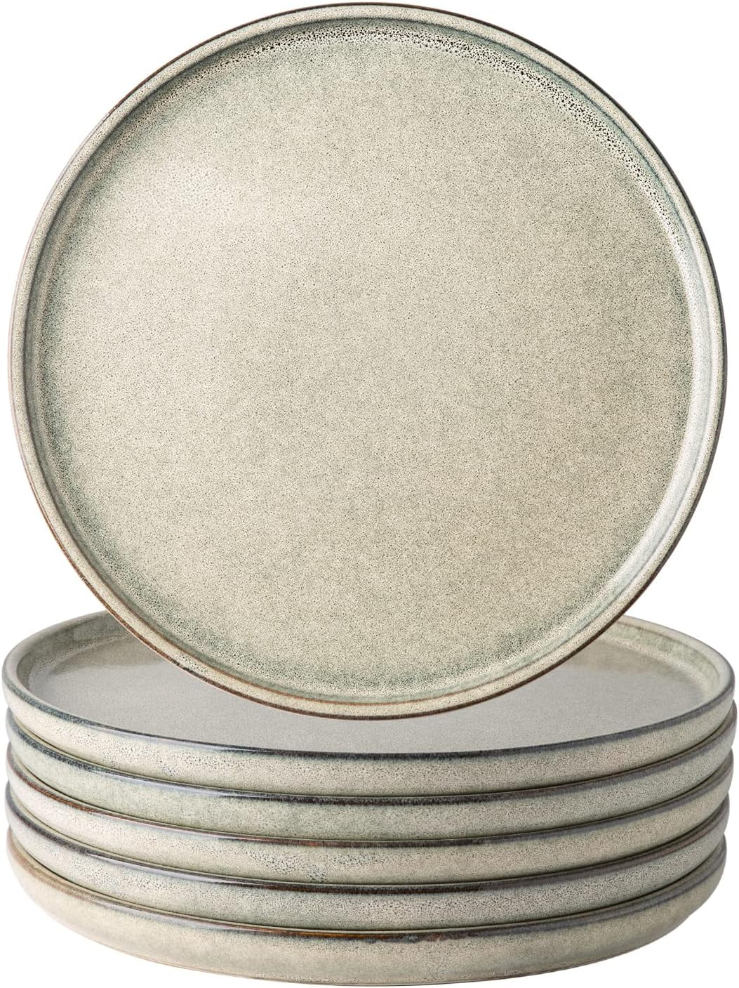 Stoneware Plates Set of 6, 10.5 Inch Ceramic Plates Set, Microwave ...