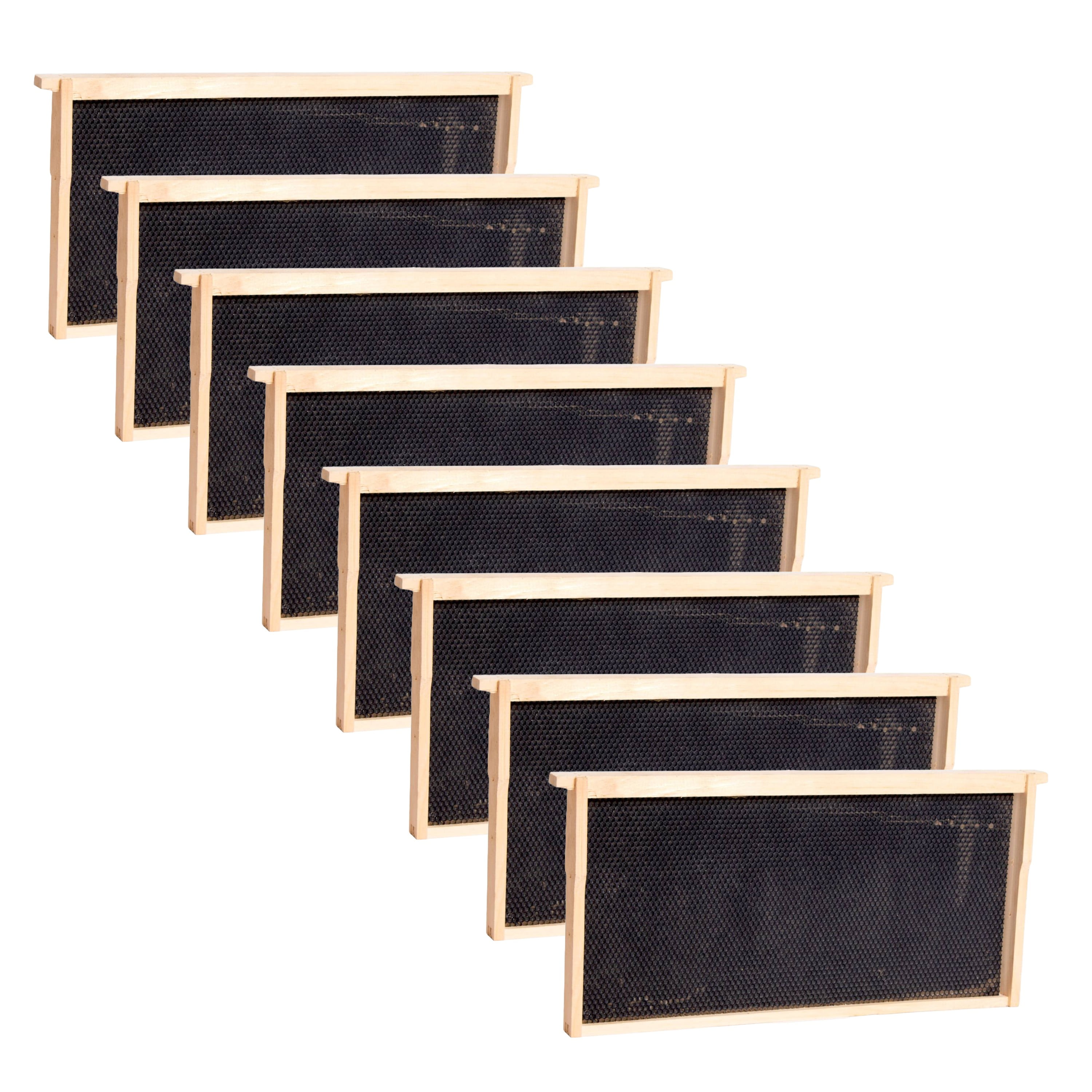 Stoney Acres Beekeeping Beehive Frame, Waxed Plastic Foundation, Deep Assembled, Honey Bee Hive ...