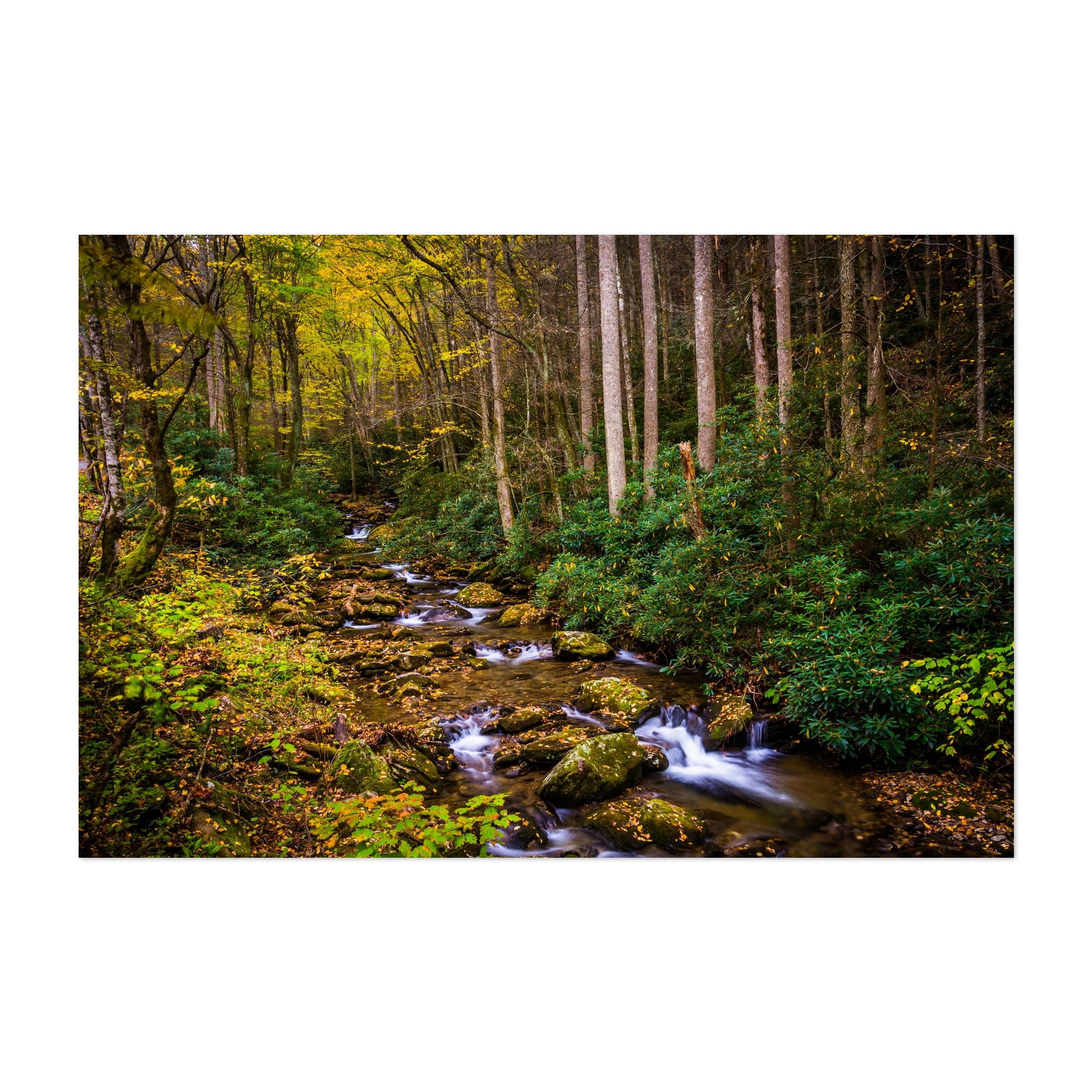 Stoney Fork Cascades 02 - North Carolina Photography Forest Nature ...