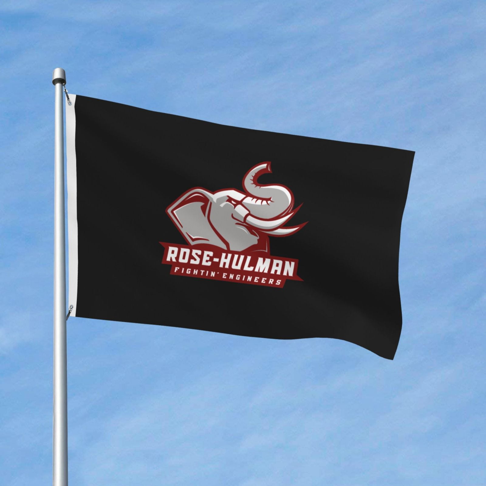 Stony Brook University Logo Flag 3x5 Ft Holiday Banner Garden Yard ...