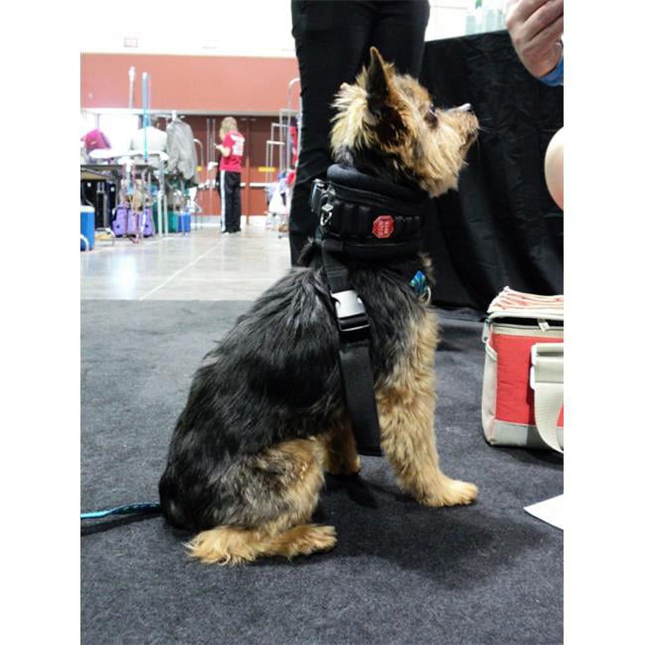 Stop Bite 90920-321 Stop Bite Collar Small - Walmart.com