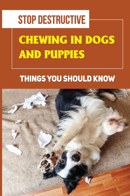 Stop Destructive Chewing In Dogs And Puppies: Things You Should Know ...