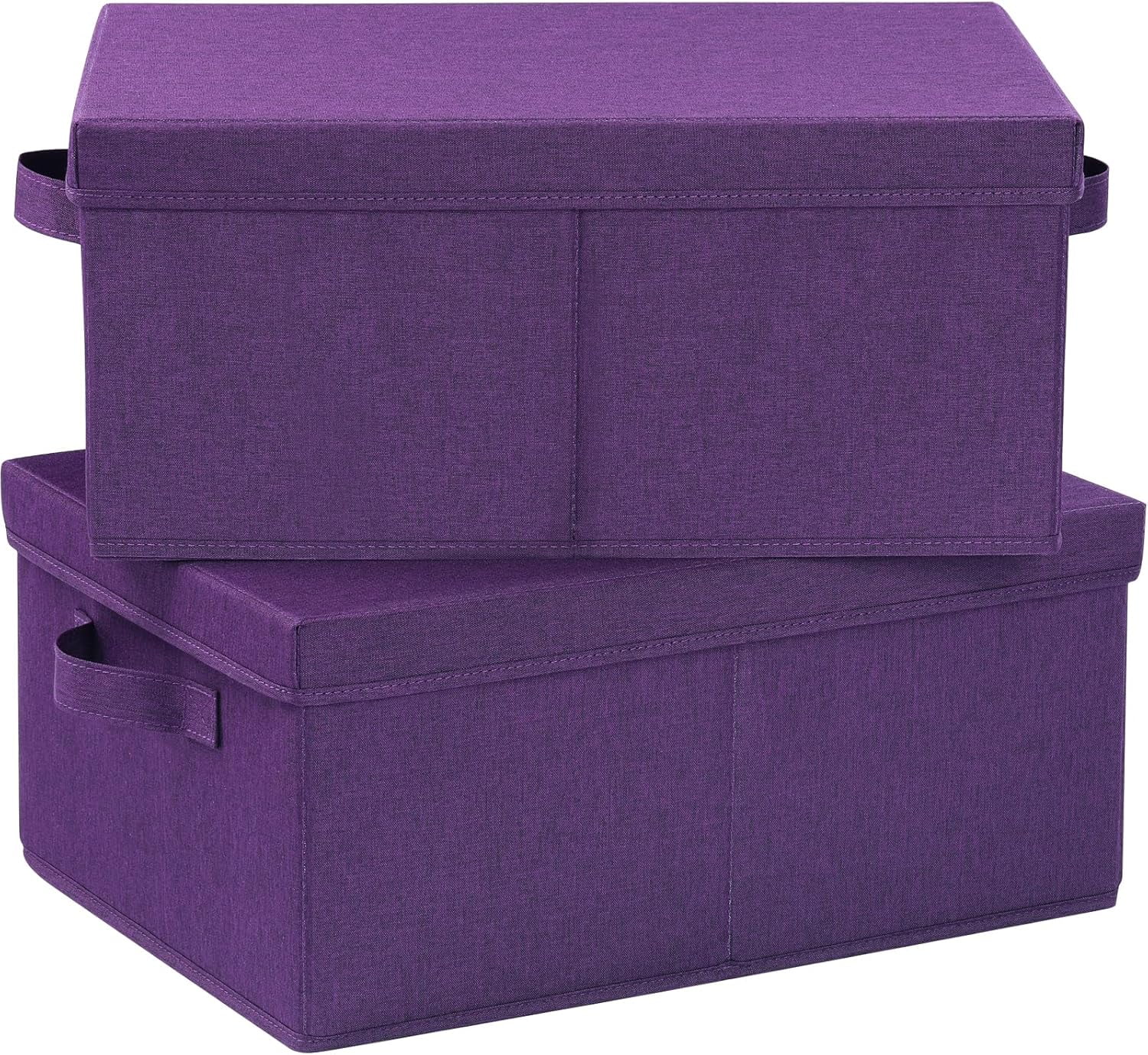 Storage Bins with Lids for Organizing, Pack of 2, Storage Boxes with 2 ...