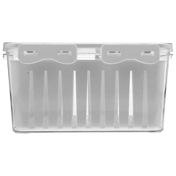 Refrigerator Containers