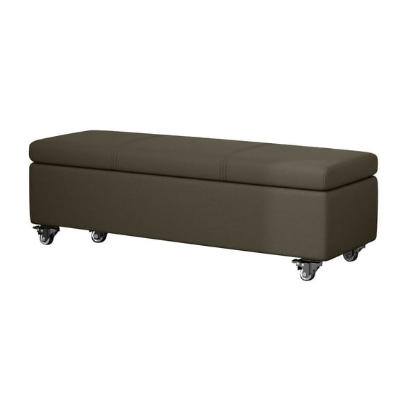 Storage Chest with Wheels,Upholstered Shoe Seat Storage Beach for ...