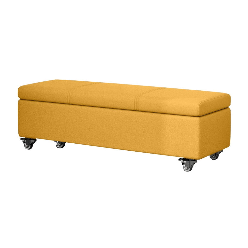 Storage Chest with Wheels,Upholstered Shoe Seat Storage Beach for ...