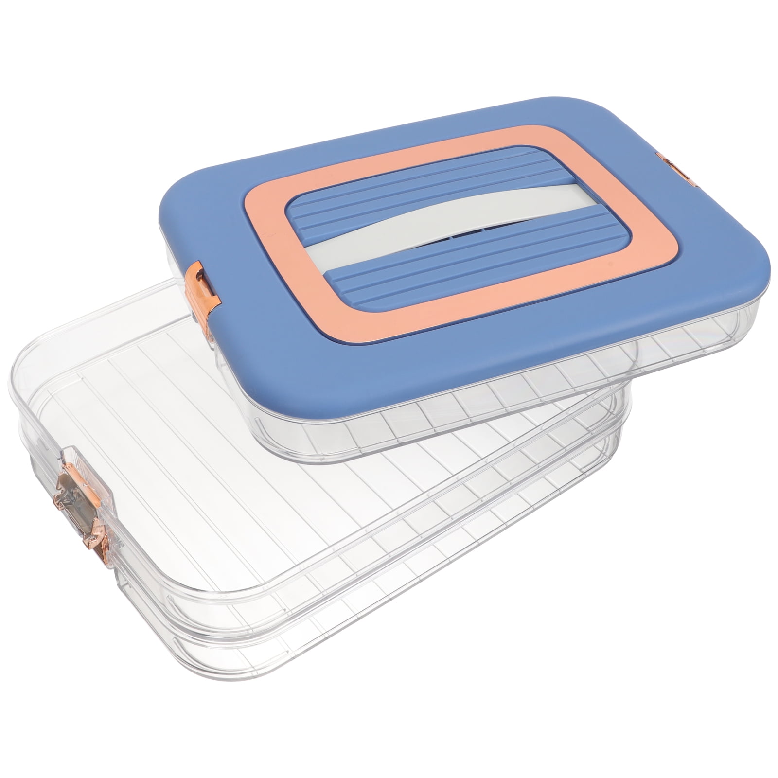 Raindrops Blue Plastic Fridge Storage Case for Dumplings and Foods with ...