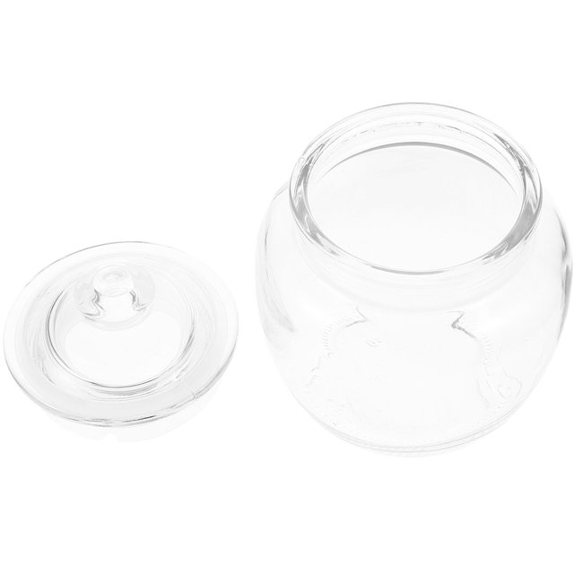 Storage Tank Candy Jar Glass with Lid Airtight Canister Terrarium ...