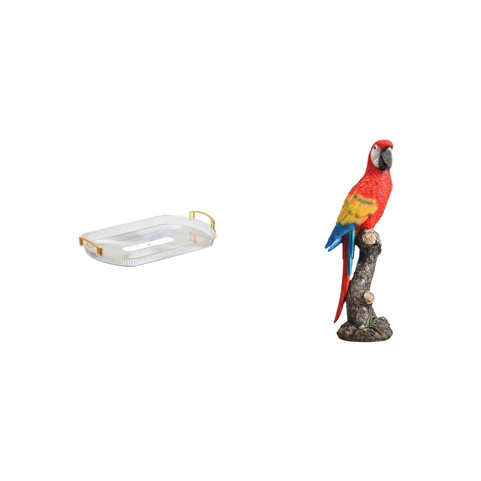 Storage Tray Parrot Figurine Rectangle Serving Tray Unique Lightweight ...