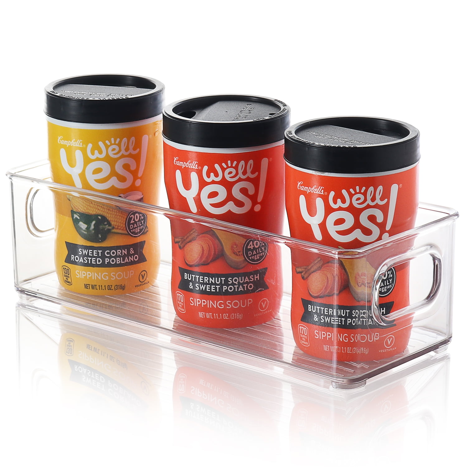 StorageBud Clear Storage Bins , 10X4X3" Plastic Containers, 1 Pack ...