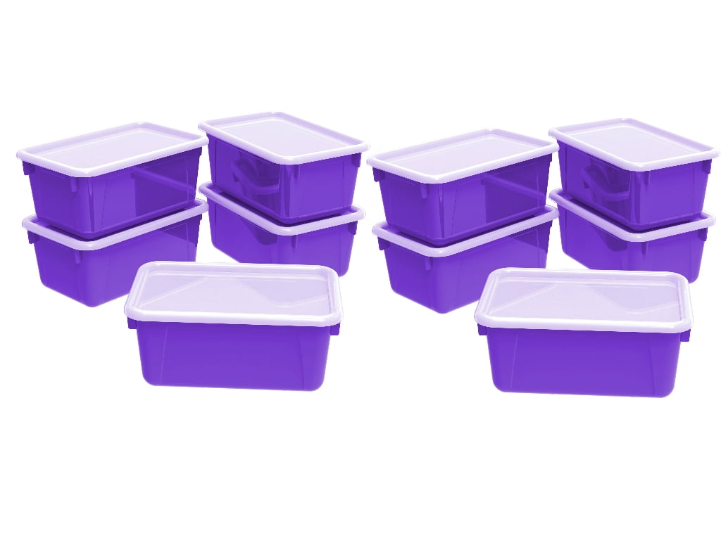Storex Small Cubby Bin with Cover, Plastic Storage Container Fits ...