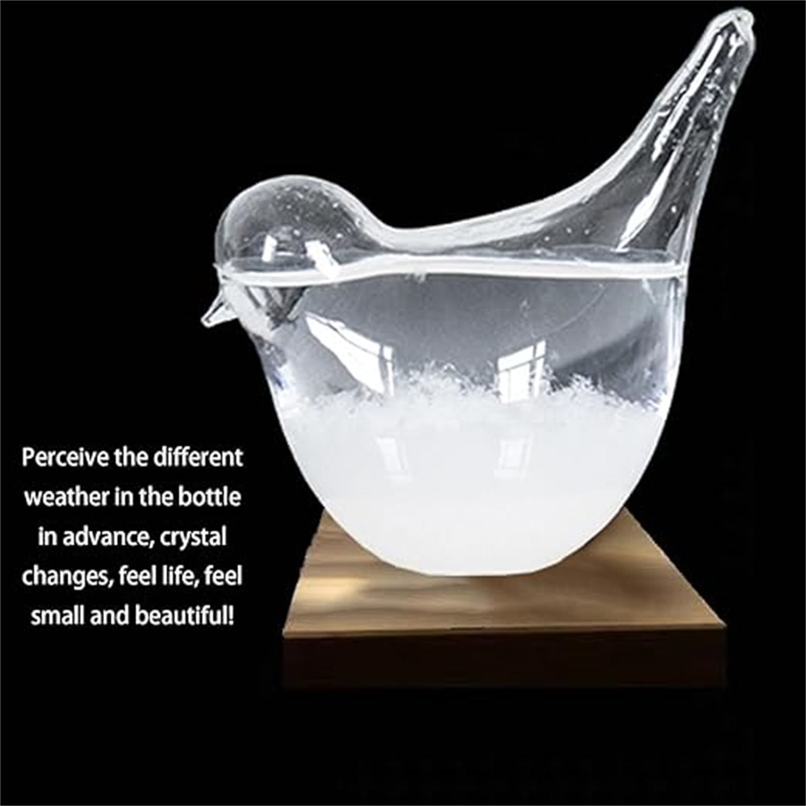 Storm Glass Weather Forecast Bottle - Snow Globes Barometer,Cloud Storm ...