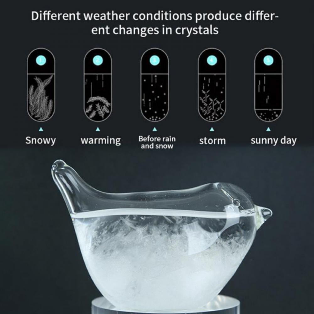 Storm Glass Weather Forecaster, Weather Predictor Barometer Weather ...