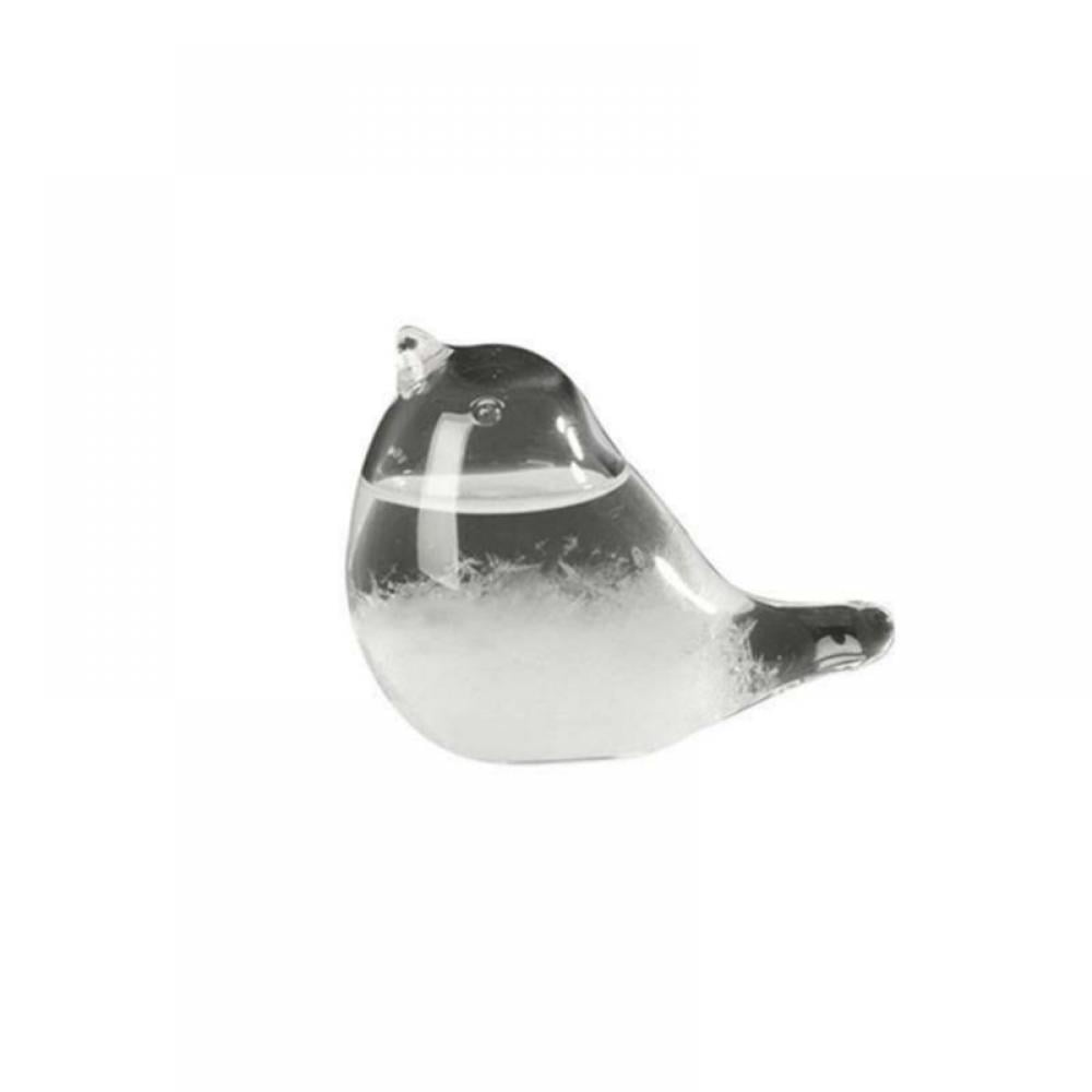Storm Glass Weather Forecaster, Weather Predictor Barometer Weather ...