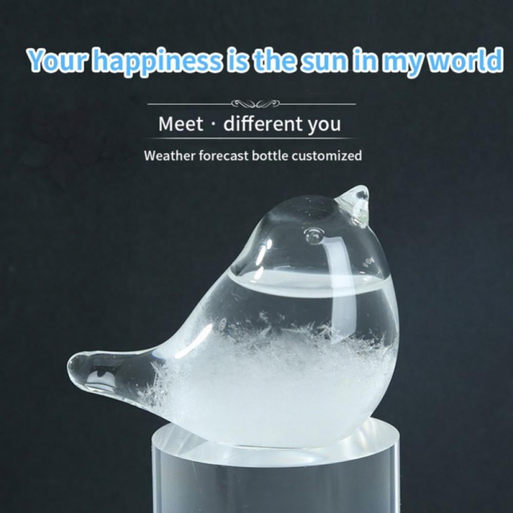 Wisremt Storm Glass Barometer, Weather Predictor Station, Decorative ...