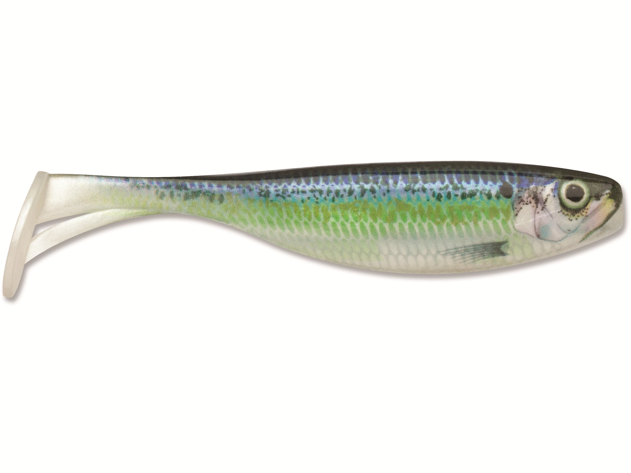 Storm LGS3LRSD Largo Shad, 3", Live River Shad, 7pk - Walmart.com
