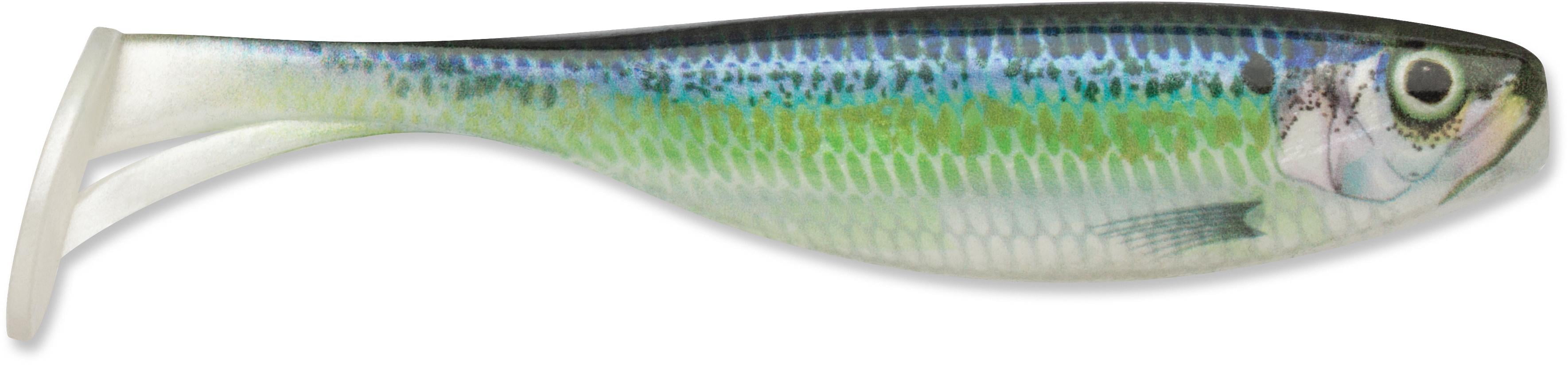 Storm LGS3LRSD Largo Shad, 3", Live River Shad, 7pk - Walmart.com