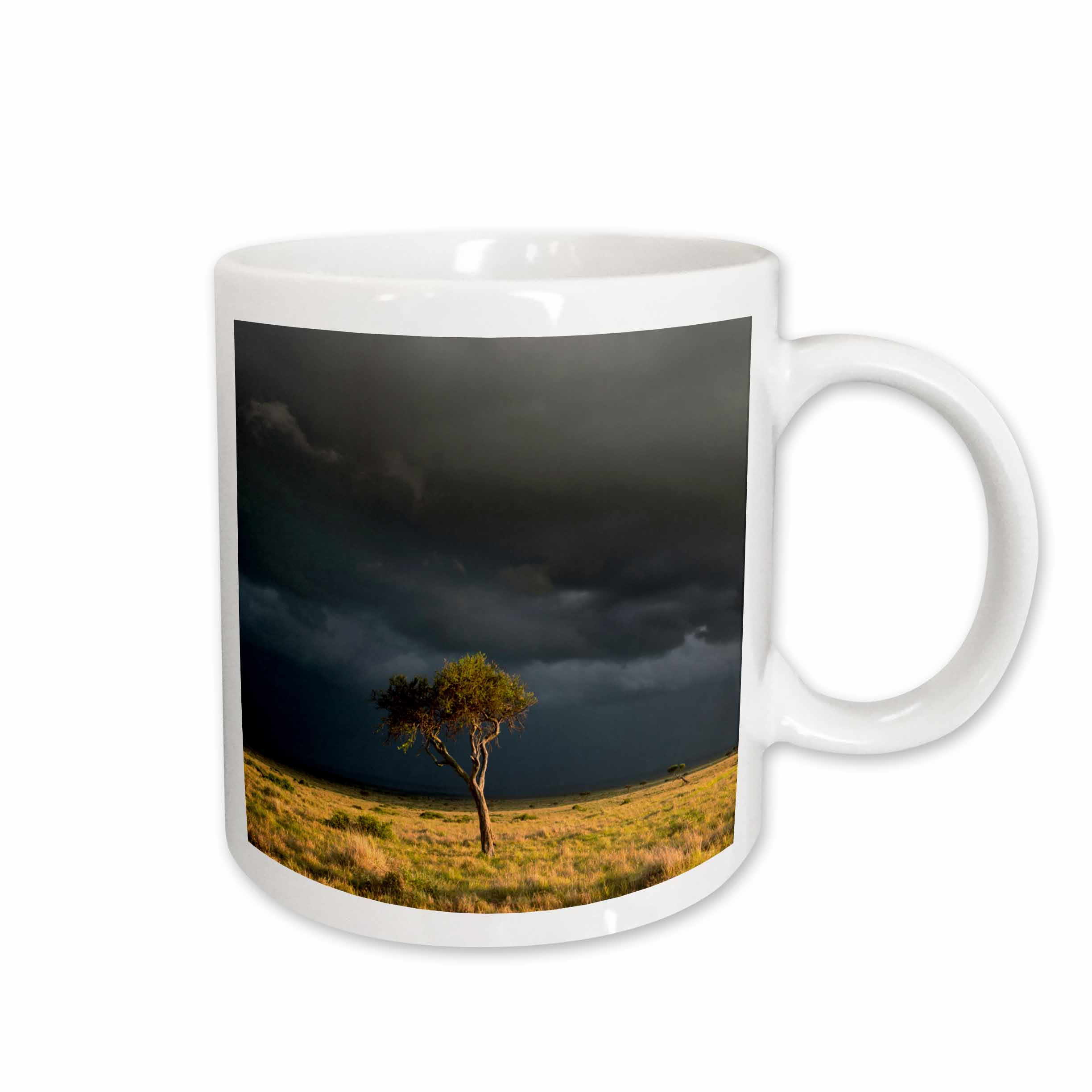 3drose, Storm Over the Maasai Mara, Kenya, Africa., 15oz Mug - Walmart.com