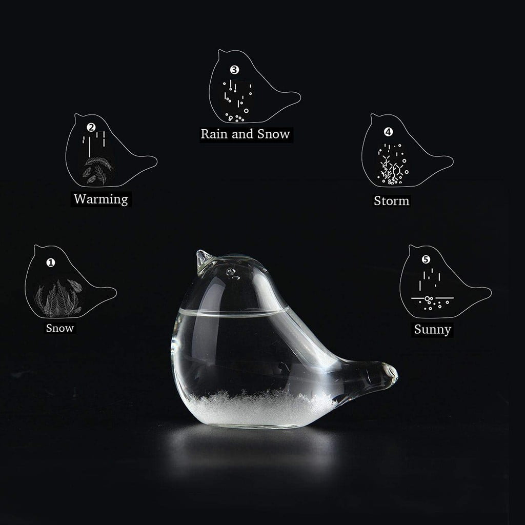 Storm Weather Forecaster, Water Drop Weather Predictor, Home and Office ...