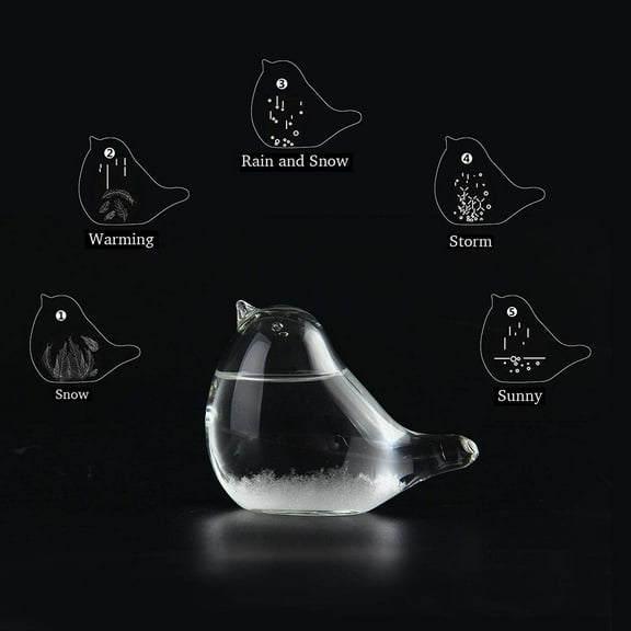 Dusknt Weather Forecast Bottle Predicts Weather and Barometer, 1 ...