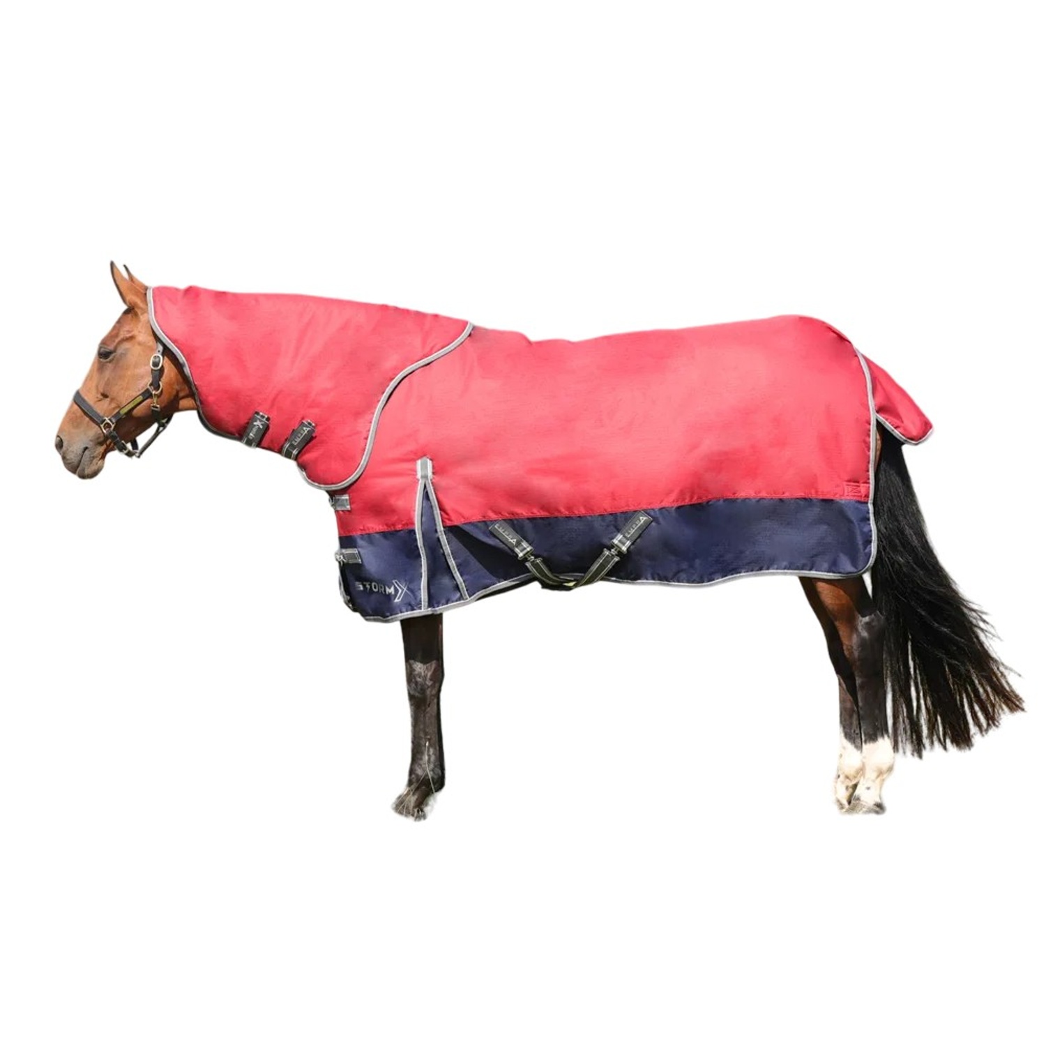StormX Empra Detachable Neck 200g Horse Turnout Rug - Walmart.com