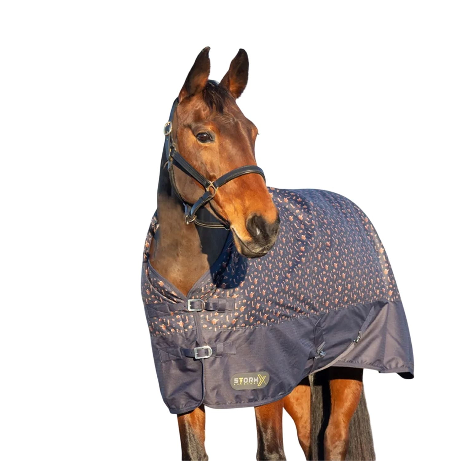 StormX Original Country 100 Standard-Neck Horse Turnout Rug - Walmart.com