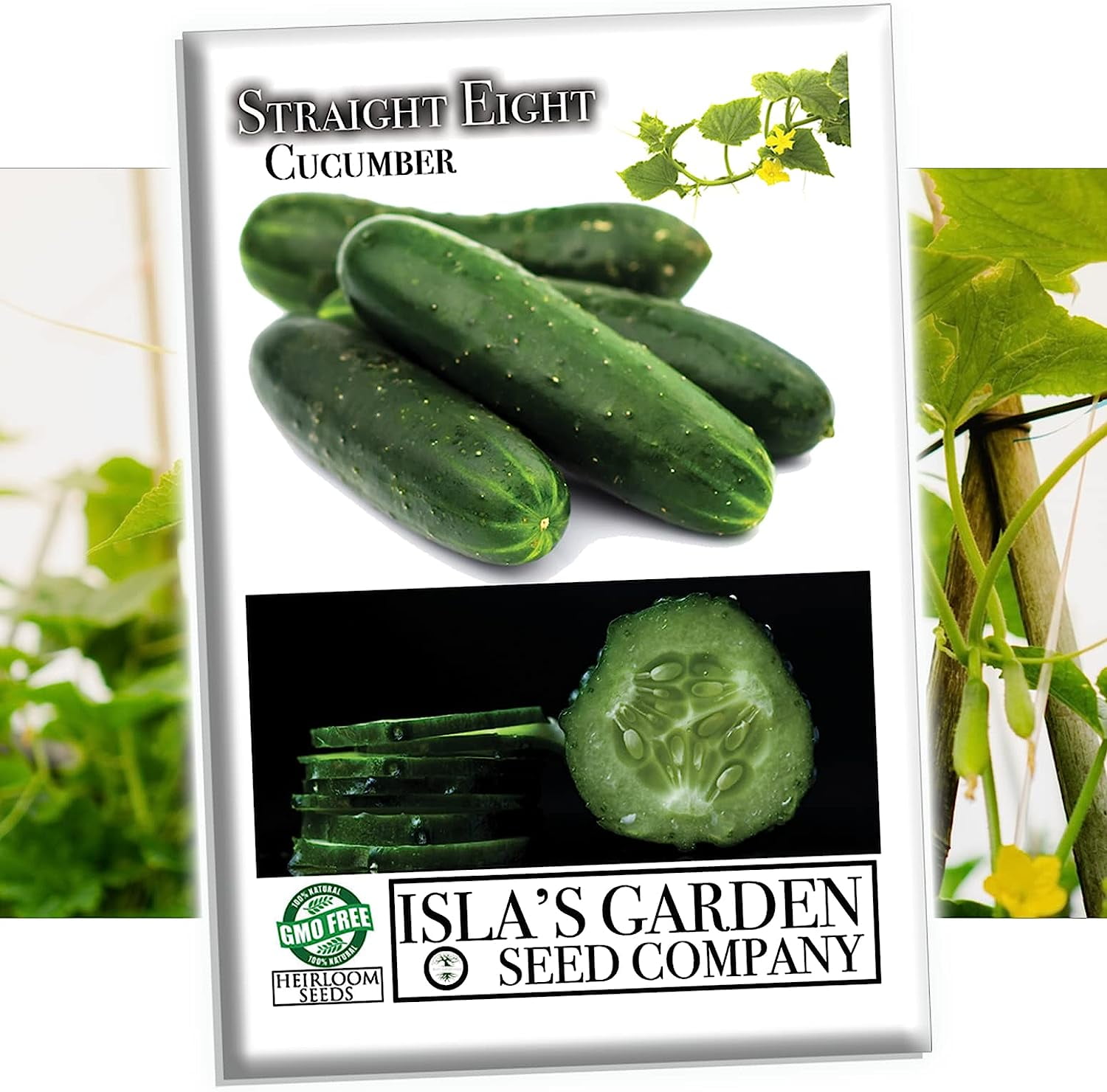 "Straight Eight" Cucumber Seeds for Planting, 150+ Heirloom Seeds Per ...
