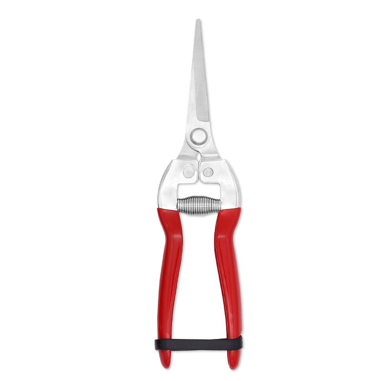 Straight Pruning Shears with Steel Blades, Florist Scissors, Multi ...