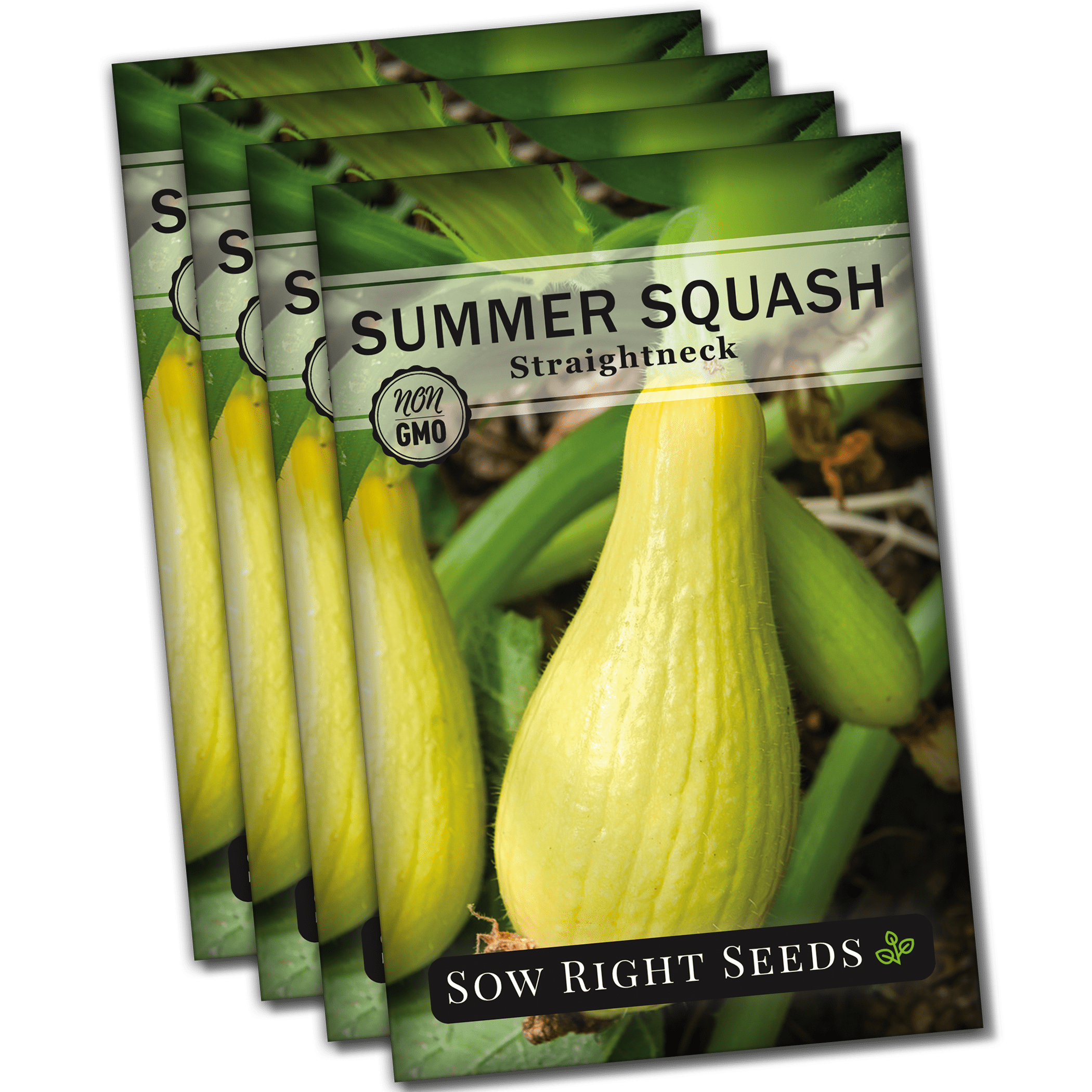 Straightneck Summer Squash Seeds - Non GMO Heirloom Varieties for your ...