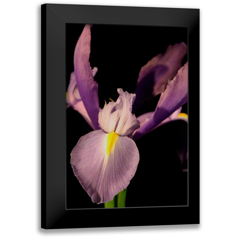 Stramel, Renee W. 11x14 Black Modern Framed Museum Art Print Titled ...